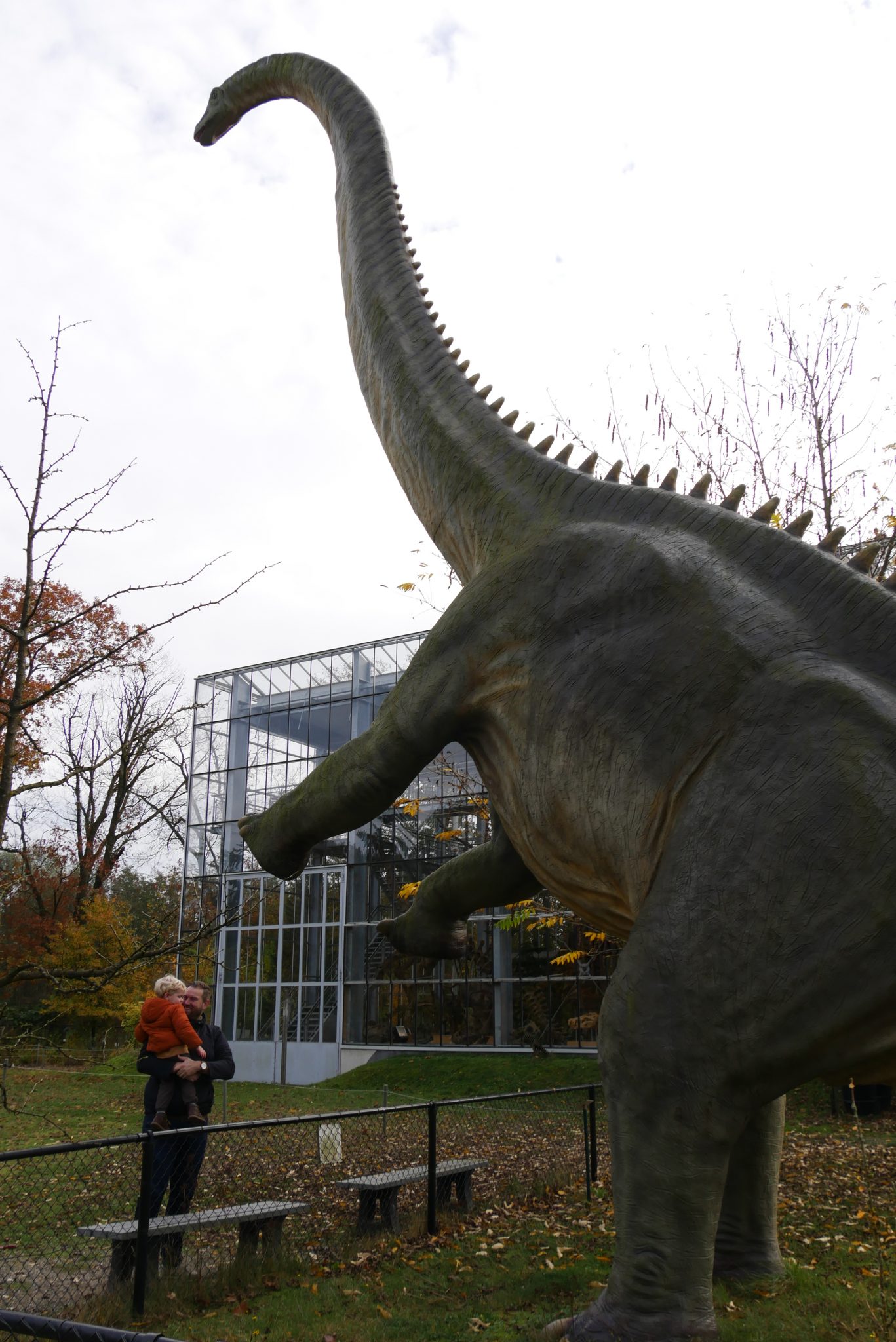 Oertijdmuseum Boxtel: wandelen door het dino park - Reismuts.nl