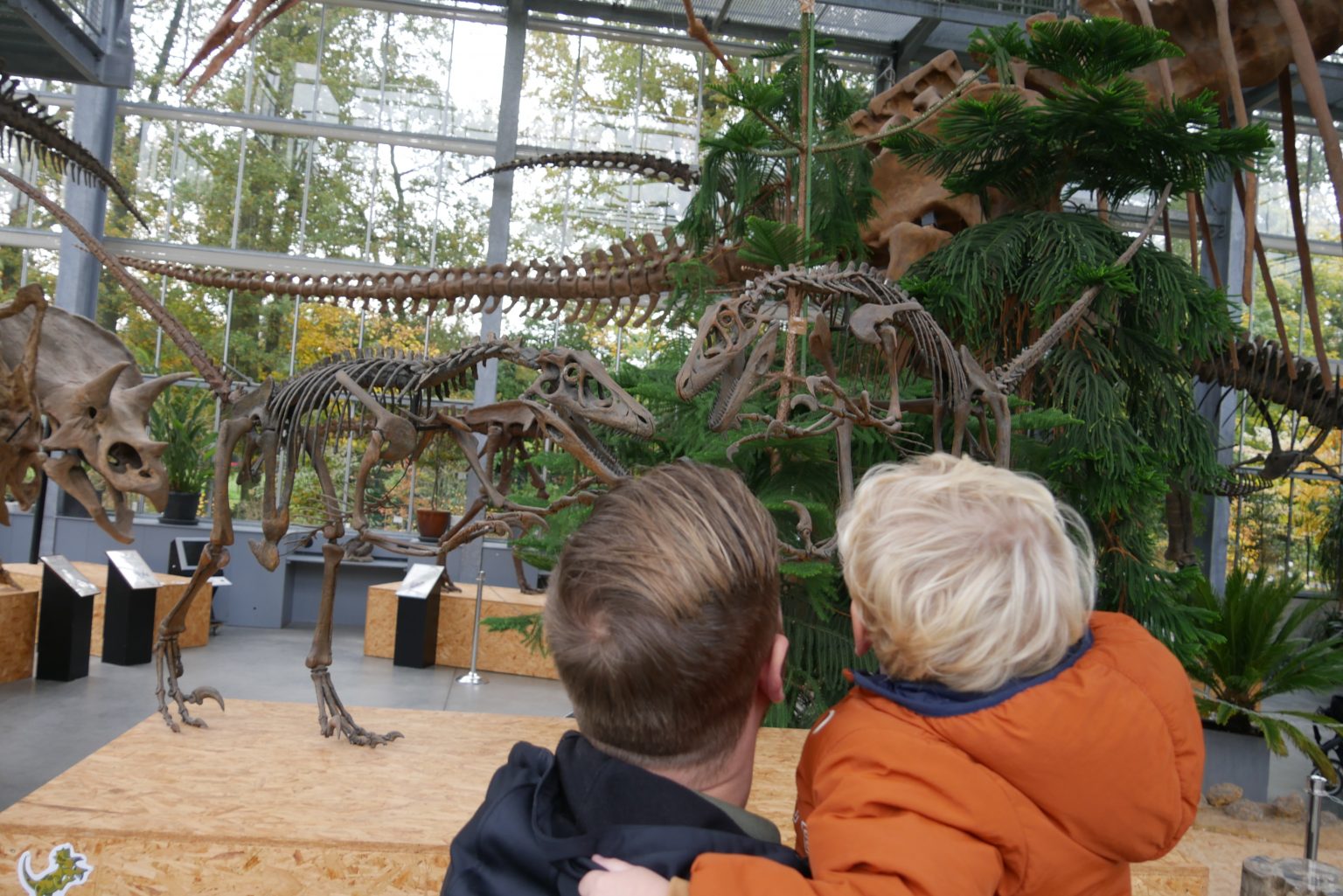 Oertijdmuseum Boxtel: wandelen door het dino park - Reismuts.nl